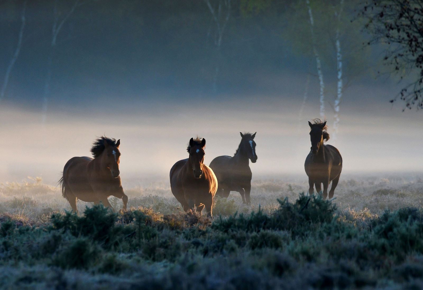 Winter Photography Competition Winners 2022 - Visit Hampshire