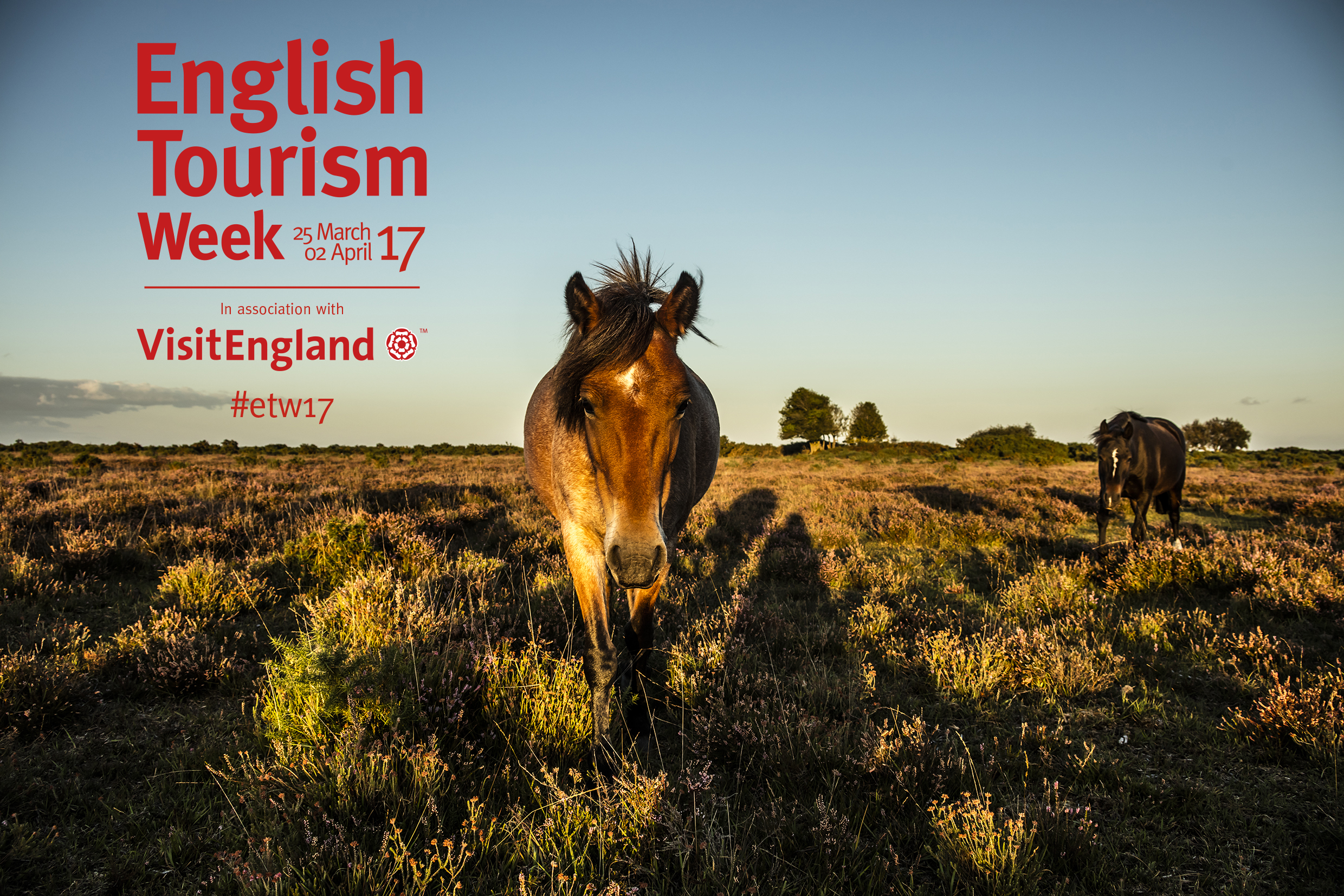 English Tourism Week 2017 - Visit Hampshire