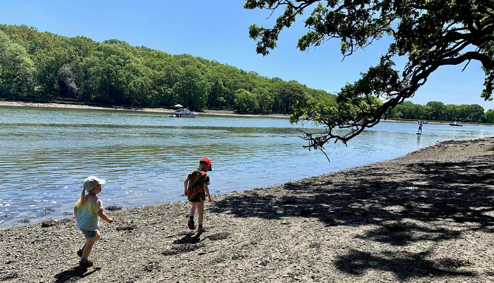 Best places to go crabbing in Hampshire - Visit Hampshire