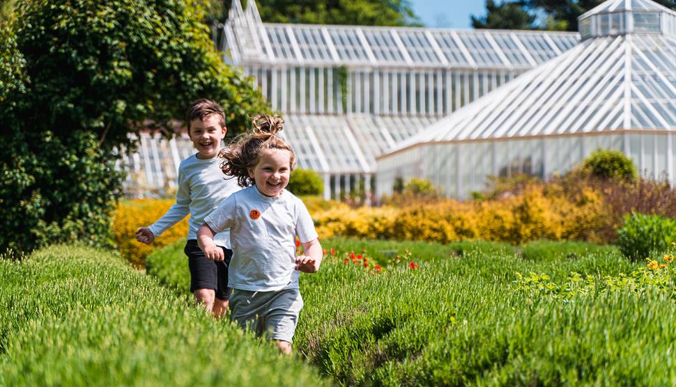 Hampshire highlights: five fabulous country parks - Visit Hampshire