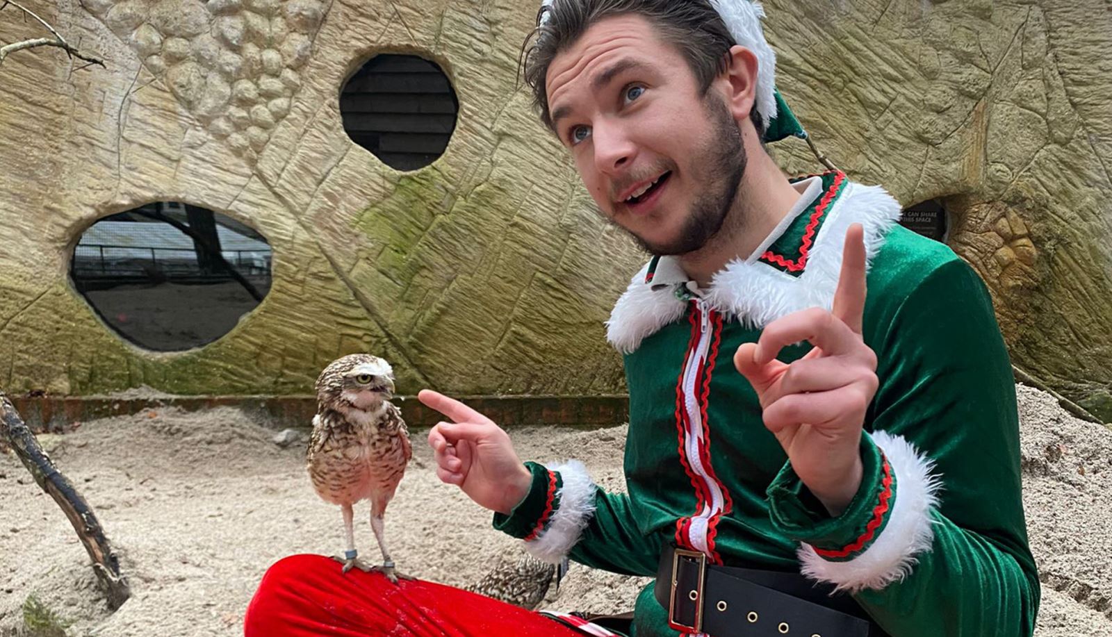 Changing seasons at the Hawk Conservancy Trust - Visit Hampshire