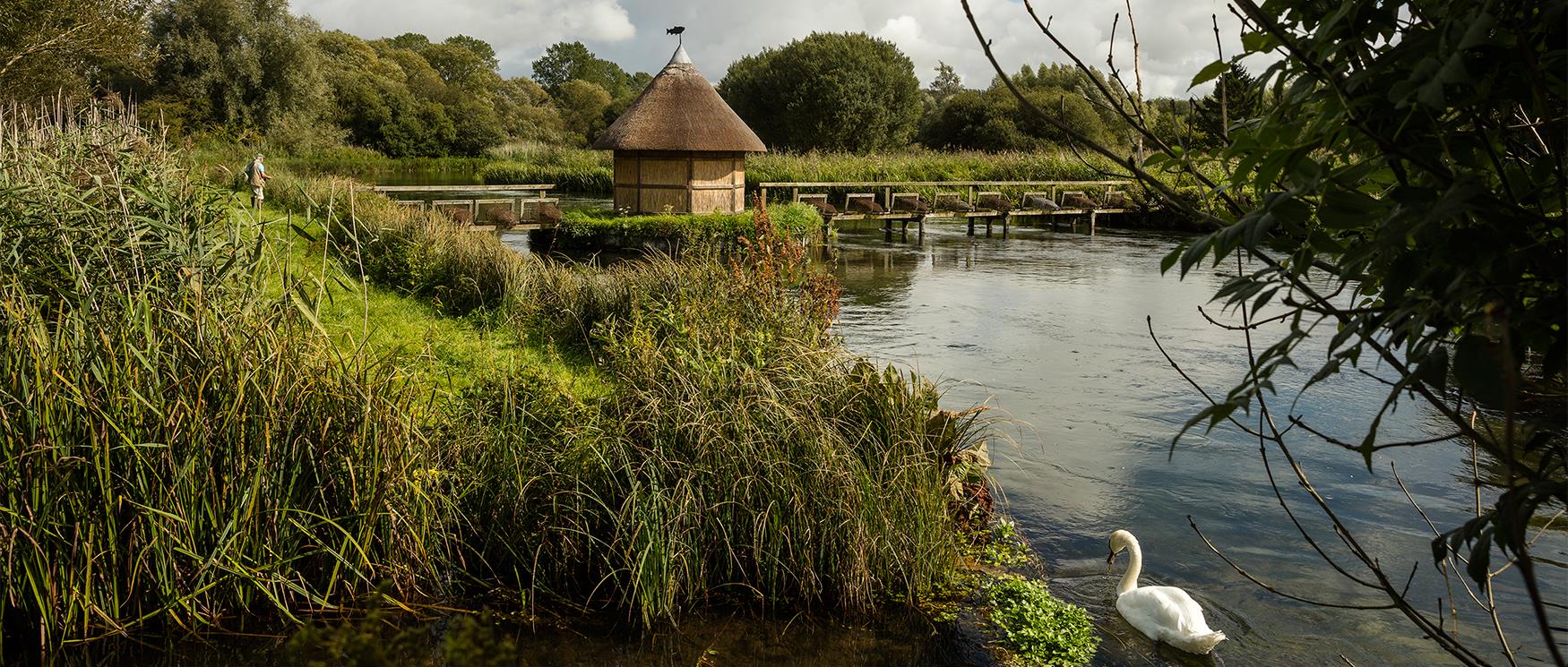 Hampshire Countryside - Visit-Hampshire.co.uk