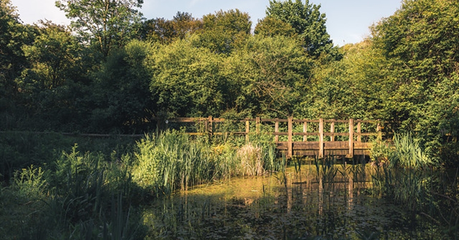 Queen Elizabeth Country Park - Visit Hampshire