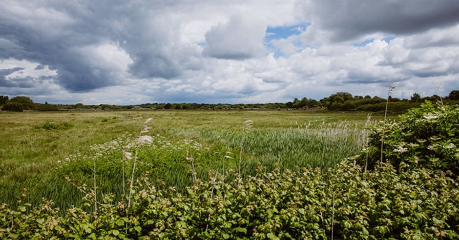 Titchfield Haven National Nature Reserve - Visit Hampshire