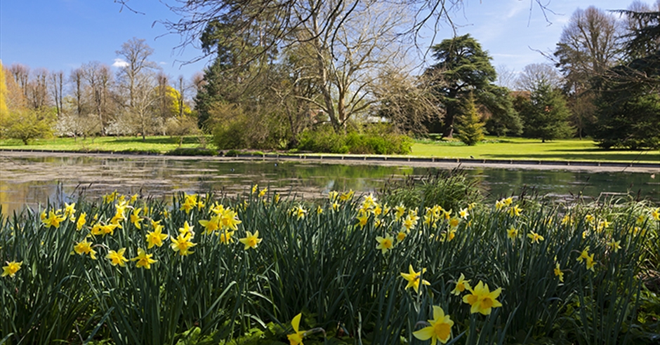 The Vyne - Visit Hampshire