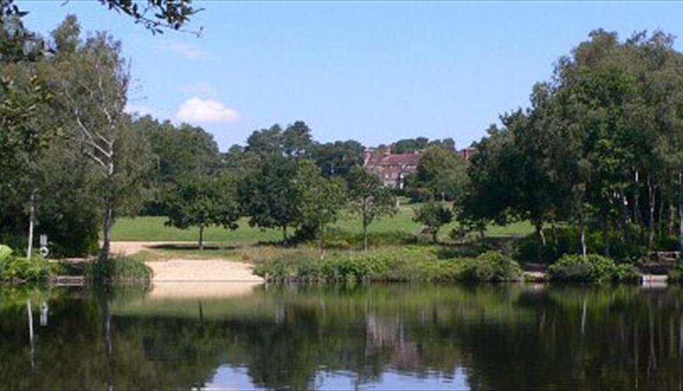 Explore the Forest at Avon Tyrrell - Visit Hampshire