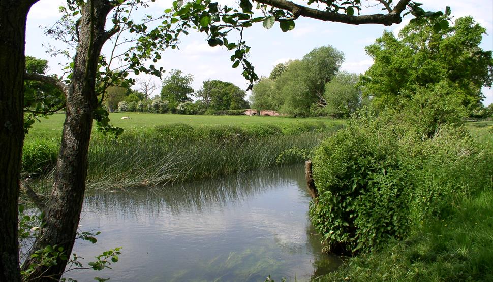 Blackwater - Towns & Villages - Visit Hampshire