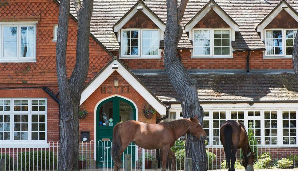 Beaulieu Hotel - Beaulieu - Visit Hampshire