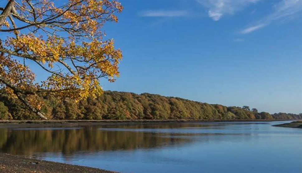 River Hamble Country Park - Visit Hampshire