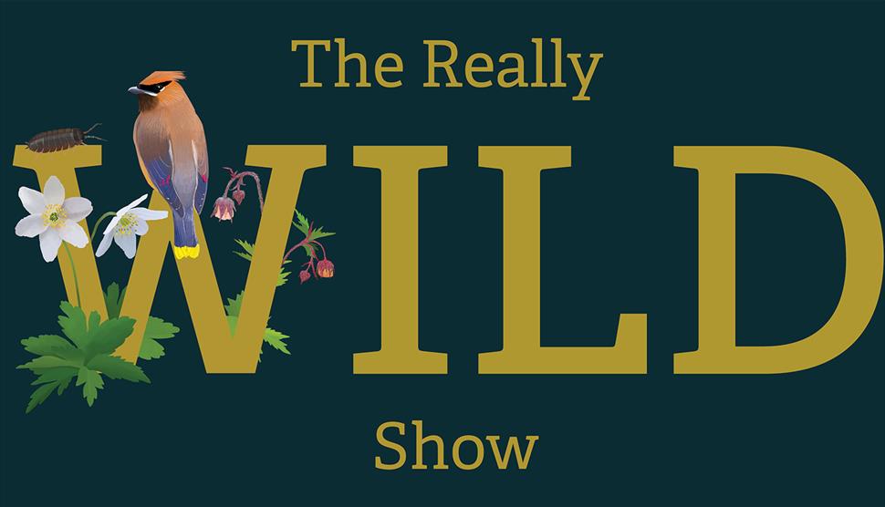 The Really Wild Show at Nuffield Southampton Theatres Campus - Visit ...