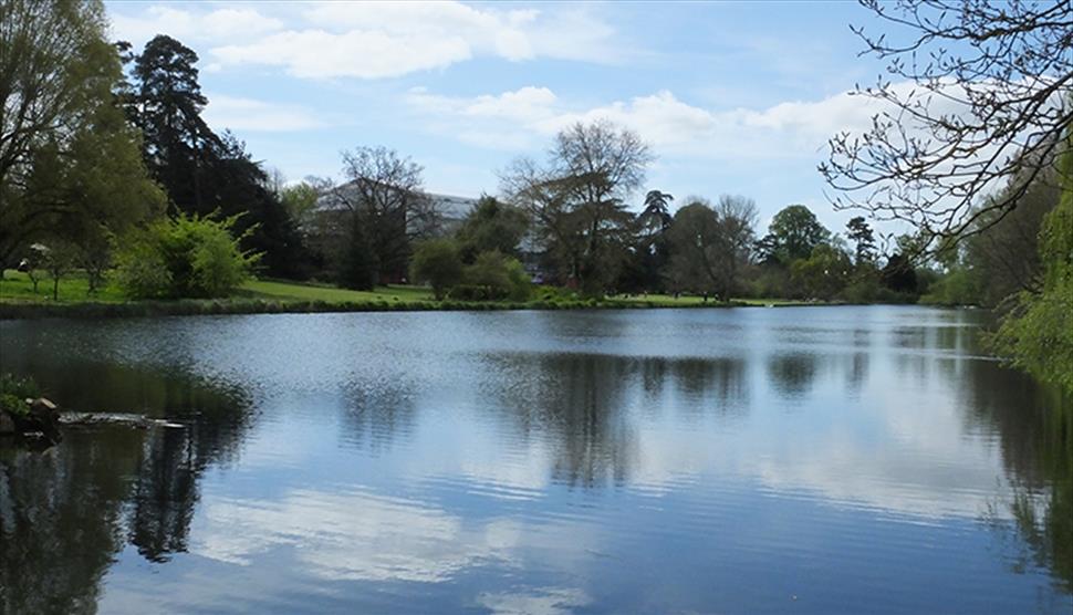 The Vyne - Visit Hampshire