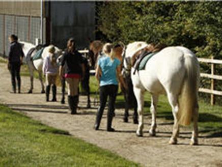 Basingstoke Hampshire - Basingstoke Tourist Information