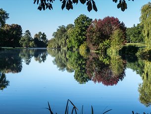 The Vyne - Visit Hampshire